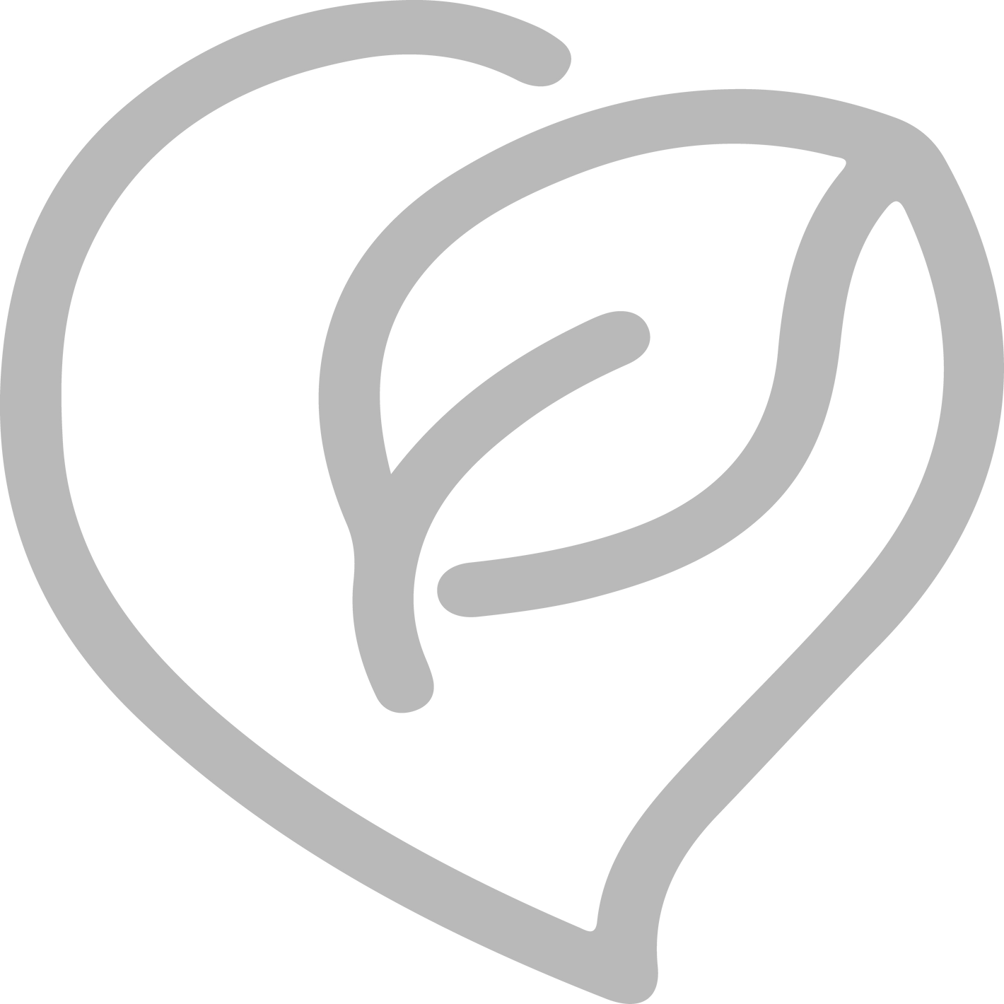 Copper State Forge Unique Hand Forged Cookware.